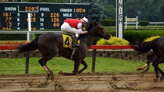 Horse racing betting guide in USA - wimberleyfire.com